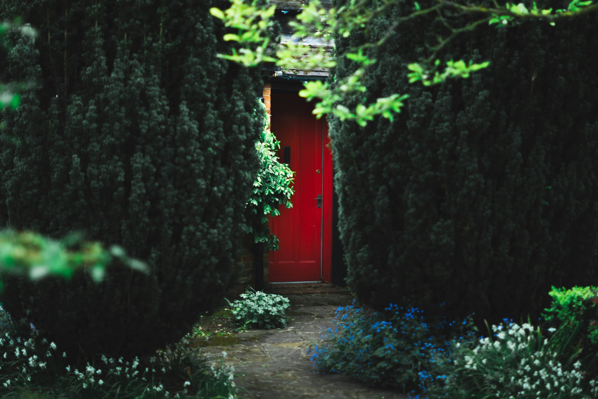 How to Design a Hidden Room That Will Impress Your Guests – Best ...